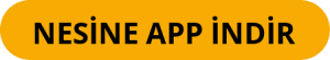 Nesine Uygulama İndir - En Güvenilir Online Canlı Bahis Siteleri
